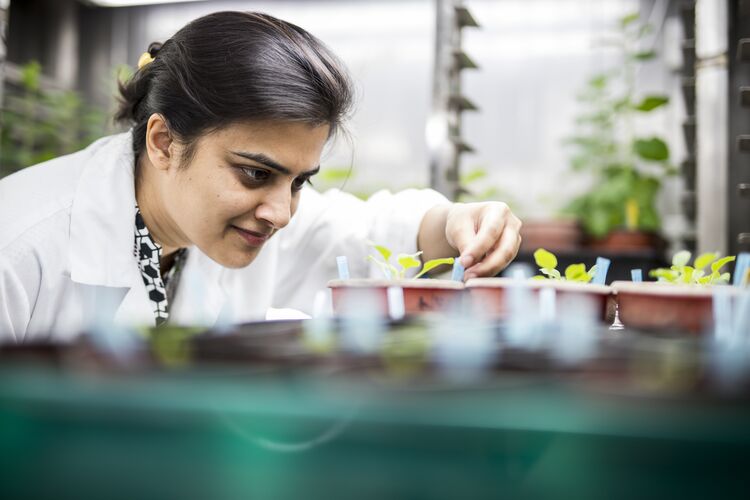 COP26 Trilateral Research Initiative | British Council